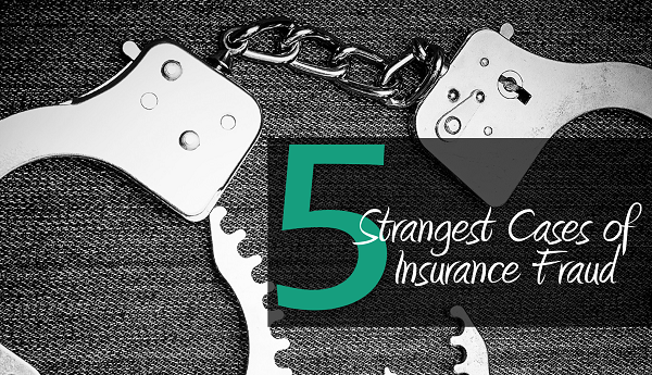 5 Strangest Insurance Fraud Cases | Gotto Insurance